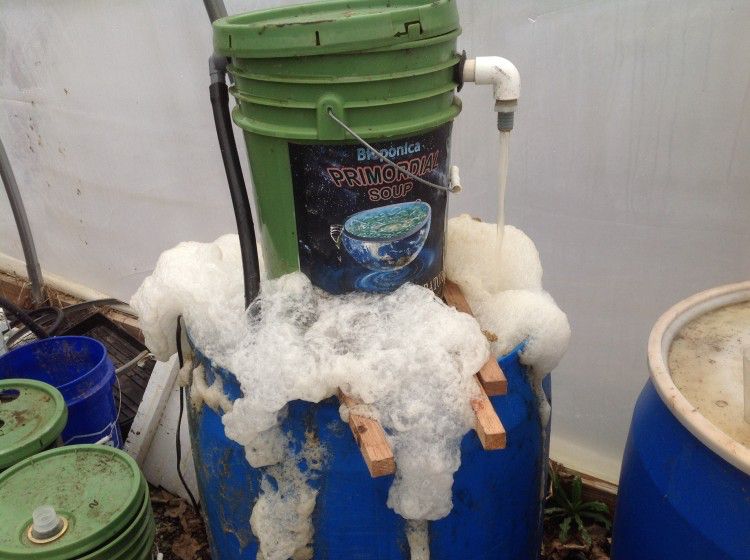 Making Liquid Fertilizer Derived from Biomass 100% Organic